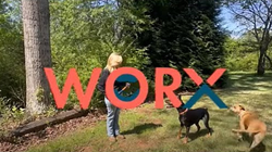 The Pet-Friendly Real Estate Agent Certification – Worx